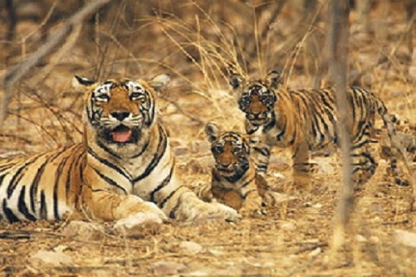 Welcome to the Official Web Site of Bihar
